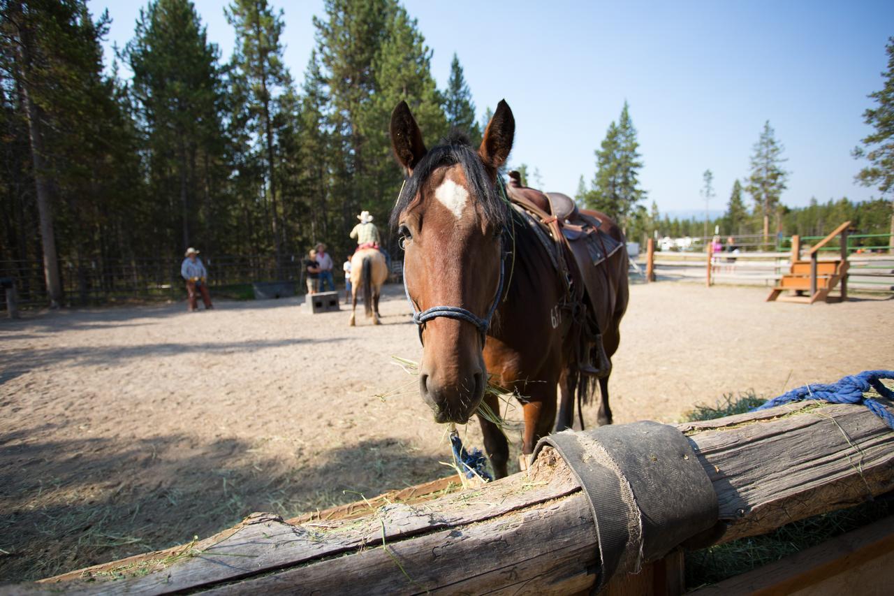 HEADWATERS LODGE & CABINS AT FLAGG RANCH, MORAN